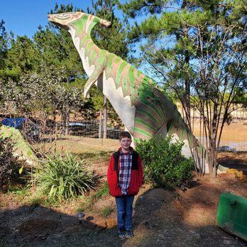 DINOSAUR ADVENTURE LAND - Updated October 2025 - 107 Photos & 17 ...
