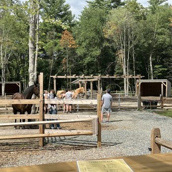 DEEP POND FARM AND STABLES - Updated December 2025 - 55 Photos & 15 ...