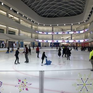 THE RINK - AMERICAN DREAM - 23 Photos & 23 Reviews - 1 American Dream ...