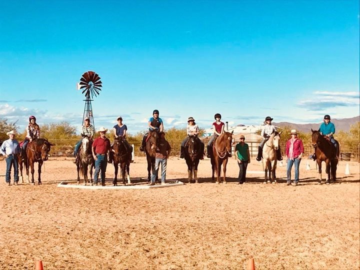 MAJESTIC SPORT HORSES - Updated February 2025 - 12 Photos - 5948 S ...