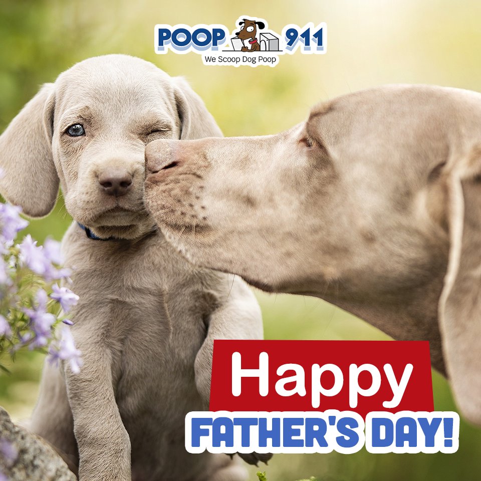 POOP 911 MORRIS - Updated April 2025 - Request Information - 11 Photos ...