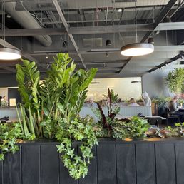 GREAT DIVIDE BREWERY & ROADHOUSE - Updated April 2026 - 193 Photos ...