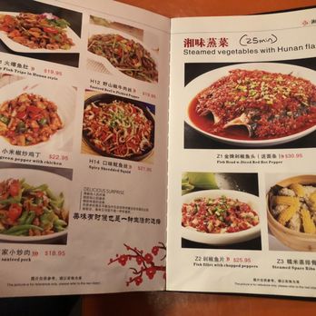 CHEF JIANG - Updated July 2025 - 165 Photos & 59 Reviews - 67 Whitney ...