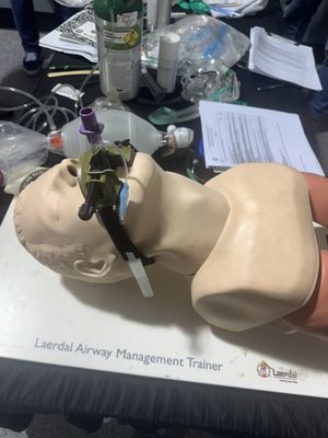 NORTH AMERICAN RESCUE EDUCATION AND TRAINING - Updated December 2025 ...