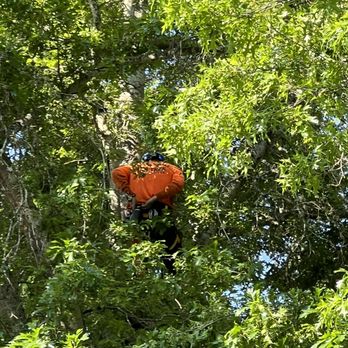 ASH TREE ENTERPRISES - Updated July 2024 - 18 Reviews - 21370 SW Langer ...