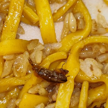 MIMOSA - Updated October 2025 - 107 Photos & 136 Reviews - 4201 Wabash ...