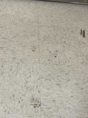 SENTARA CAREPLEX HOSPITAL MATERNITY CENTER - Updated July 2025 - 46 ...