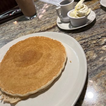 ATLANTIS PURPLE PARROT - Updated August 2024 - 447 Photos & 286 Reviews ...