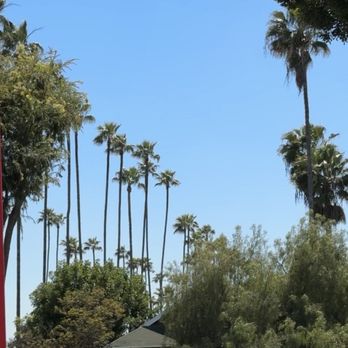 TOPS JR - Updated October 2024 - 330 Photos & 382 Reviews - 2407 W Main ...