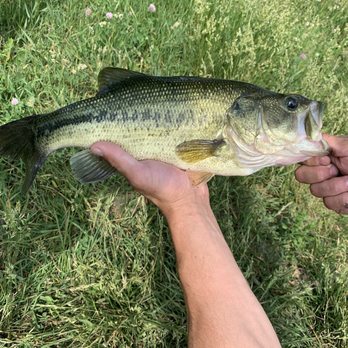 FISHTECH - Updated September 2025 - 30 Reviews - 5802 Dempster St ...