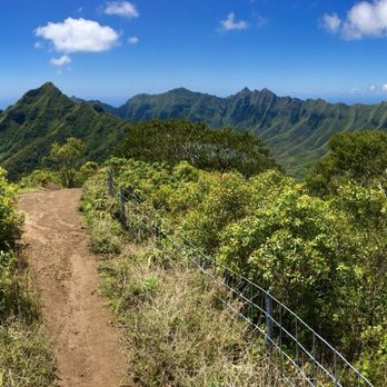 MT KA’ALA TRAIL - Updated September 2025 - 343 Photos & 45 Reviews ...