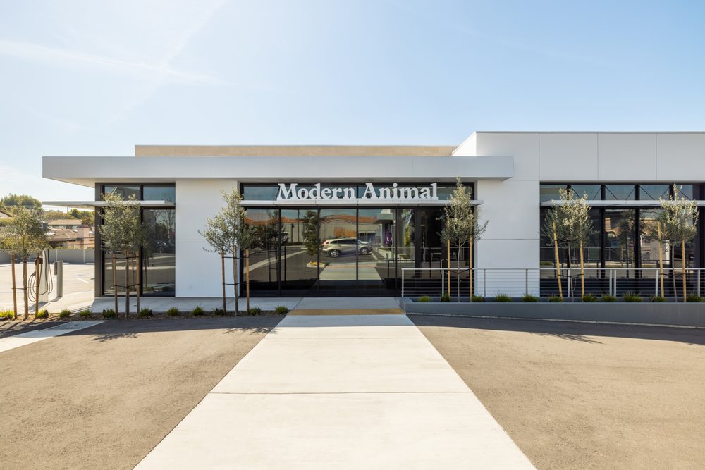 MODERN ANIMAL - Updated December 2025 - 65 Photos & 102 Reviews - 1108 ...