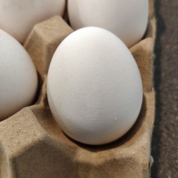 WAIALUA FRESH EGG FARM - Updated April 2026 - 66 Photos & 54 Reviews ...