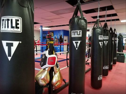 BLUE BOY BOXING CLUB - Updated December 2025 - 15 Photos - 400 ...