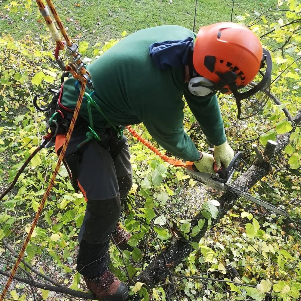 CLIMB-IT TREE CARE - Request a Quote - 10 Photos - Coronation Drive, Telford, United Kingdom ...