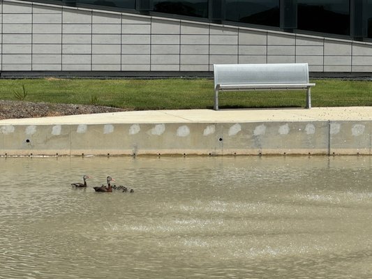 FORT BEND COUNTY LIBRARY FULSHEAR BRANCH - Updated October 2025 - 25 ...