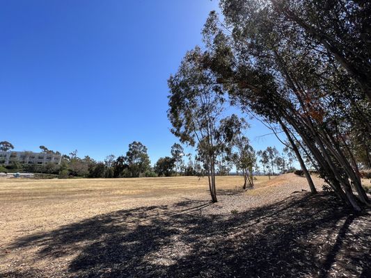 SCRIPPS MIRAMAR RANCH LIBRARY - Updated November 2025 - 105 Photos & 57 ...