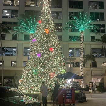 YOLO - 2132 Photos & 1615 Reviews - 333 E Las Olas Blvd, Fort ...