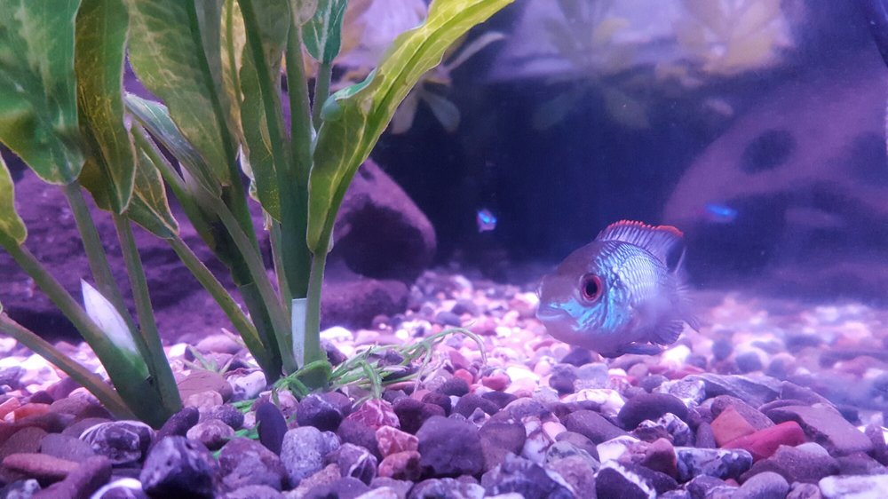 CHICO PET WORKS & PET SALON - Updated October 2025 - 12 Photos & 69 ...