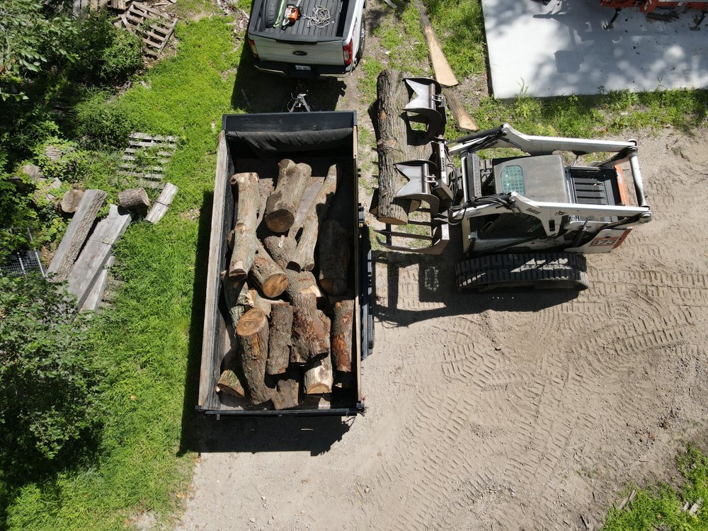 MLM TREE SERVICE Portage, MI - Updated November 2024 - 37 Photos & 10 ...