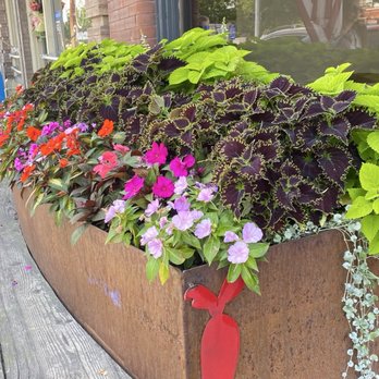 THE GRUMPY RABBIT - Updated October 2025 - 140 Photos & 140 Reviews ...