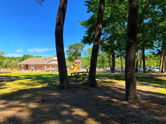 BIRCH GROVE PARK - Updated June 2024 - 21 Photos - 1700 Burton Ave ...