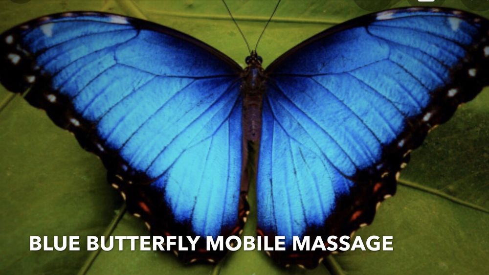 BLUE BUTTERFLY MASSAGE THERAPY - Updated July 2025 - 44121 Harry Byrd ...