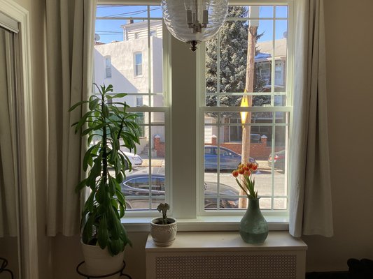 WINDOWKING - Updated April 2025 - 55 Photos & 66 Reviews - 1075 Morris ...