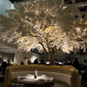 JANKEN - Updated January 2025 - 1228 Photos & 369 Reviews - 250 NW 13th ...