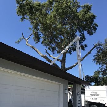 DANNY’S TREE SERVICE - Updated July 2025 - 10 Reviews - 3545 Enterprise ...