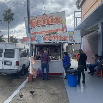 TACOS FÉNIX - Updated December 2024 - 261 Photos & 241 Reviews - Espinoza 451, Ensenada, Baja ...