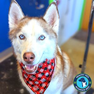 WE CALL IT PUPPY LUV - 34 Photos & 10 Reviews - 125 W 2950th S, South ...