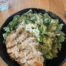 COMPLICATED PILGRIM - Updated December 2025 - 207 Photos & 71 Reviews ...