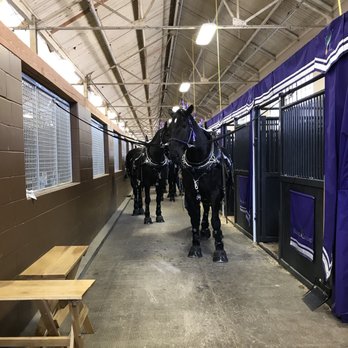 LEE & ROSE WARNER COLISEUM - Updated August 2025 - 24 Photos - 1784 ...