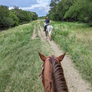 WESTCREEK TRAIL RIDES - 86 Photos & 77 Reviews - 12230 Westcreek Oaks ...