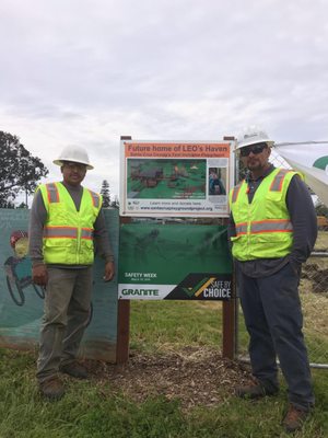 LEWIS TREE SERVICE - Updated September 2025 - 78 Photos & 61 Reviews ...