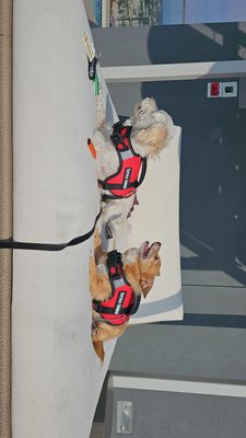 OPUS LA - Updated September 2025 - 13 Photos & 12 Reviews - 3545 ...