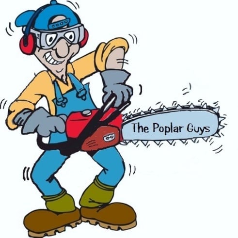 THE POPLAR GUYS TREE REMOVAL - Updated December 2025 - Rowatt ...