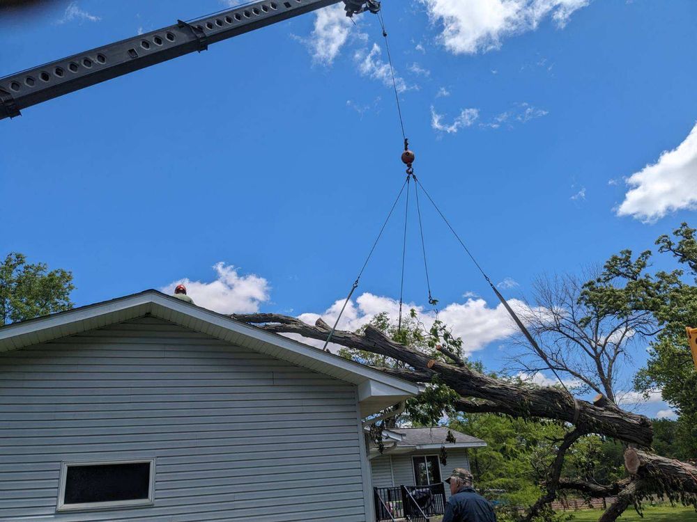 IOWA CITY TREE SERVICE - Updated July 2025 - Request a Quote - 803 ...