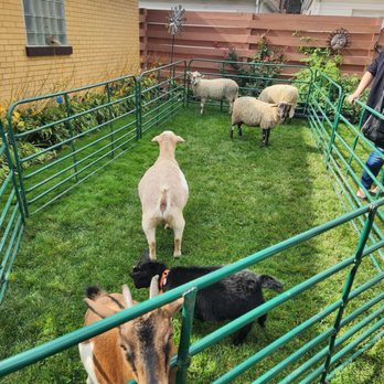 MEMORY LANE STABLES - Updated January 2025 - 161 Photos & 103 Reviews ...