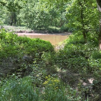 CONESTEE NATURE PRESERVE - Updated January 2026 - 134 Photos & 33 ...