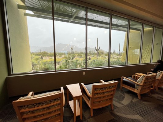 WHITE TANK LIBRARY - Updated December 2025 - 104 Photos & 43 Reviews ...