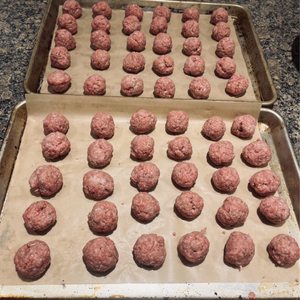 LONG BRANCH POULTRY FARM - Updated December 2025 - 12 Photos & 40 ...