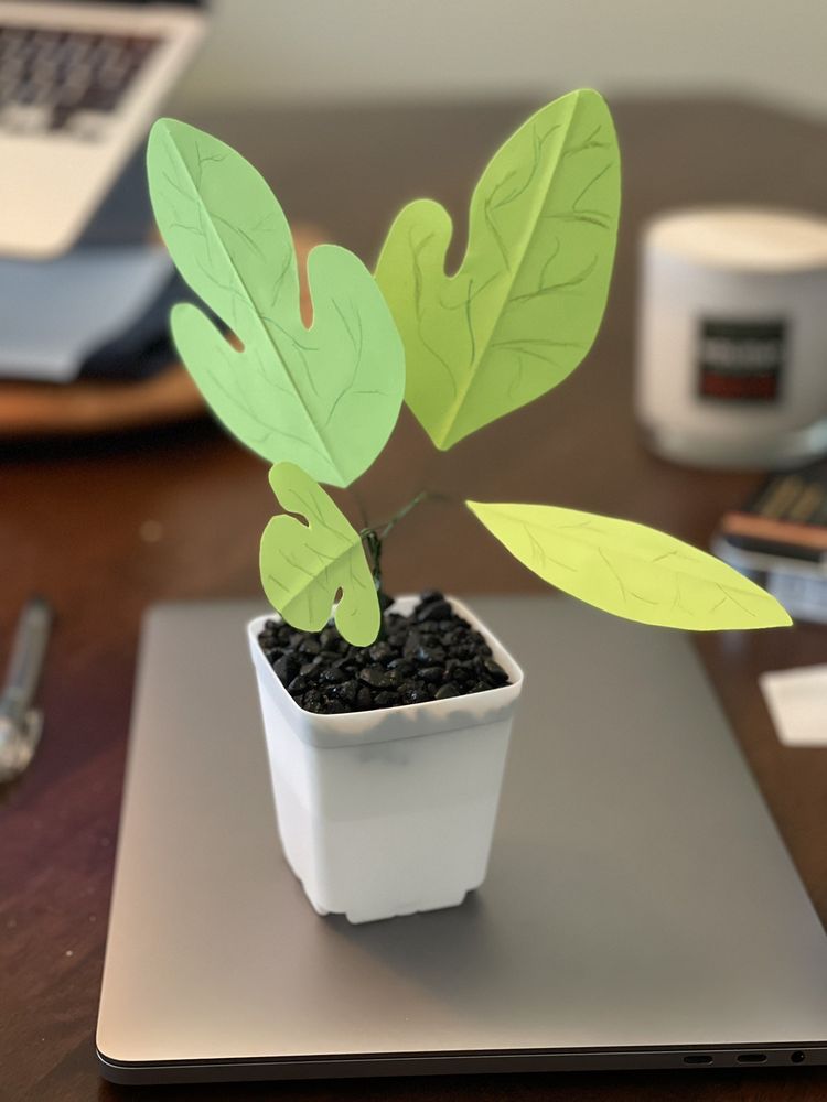 NORTH PULASKI PUBLIC LIBRARY - Updated August 2025 - 27 Photos - 4300 W ...