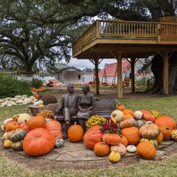 GEORGE RANCH HISTORICAL PARK - 94 Photos & 40 Reviews - 10215 Fm 762 ...