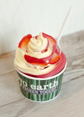 FROYO EARTH - TEMP. CLOSED - Updated October 2025 - 44 Photos & 41 ...