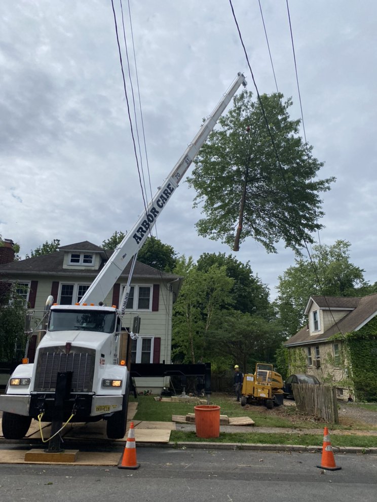ARBOR CARE TREE SERVICE - Updated December 2025 - 29 Photos & 15 ...