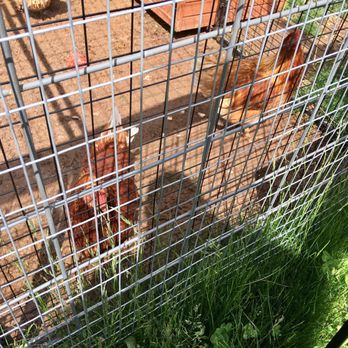 HINDINGER FARM - Updated August 2025 - 46 Photos & 24 Reviews - 810 ...