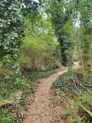 OAK CLIFF NATURE PRESERVE - 72 Photos & 24 Reviews - Parks - 2875 ...