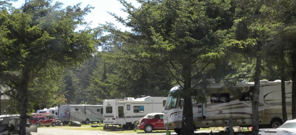 TURTLE ROCK RV RESORT - Updated April 2025 - 184 Photos & 142 Reviews ...